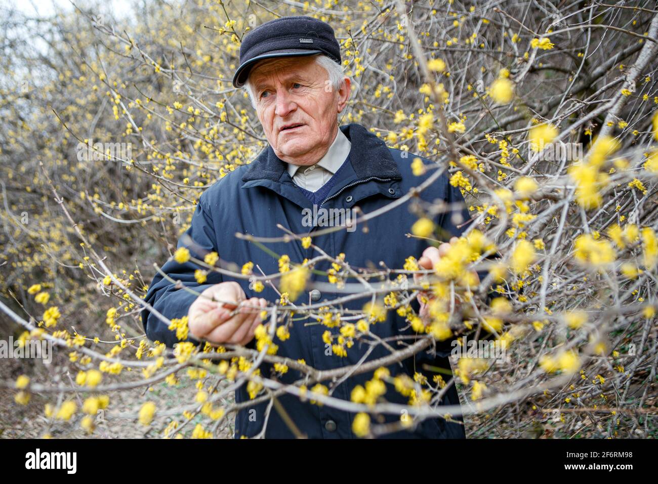 ZAKARPATTIA REGION, UKRAINE - MARCH 31, 2021 - Vasyl Ivashko talks ...