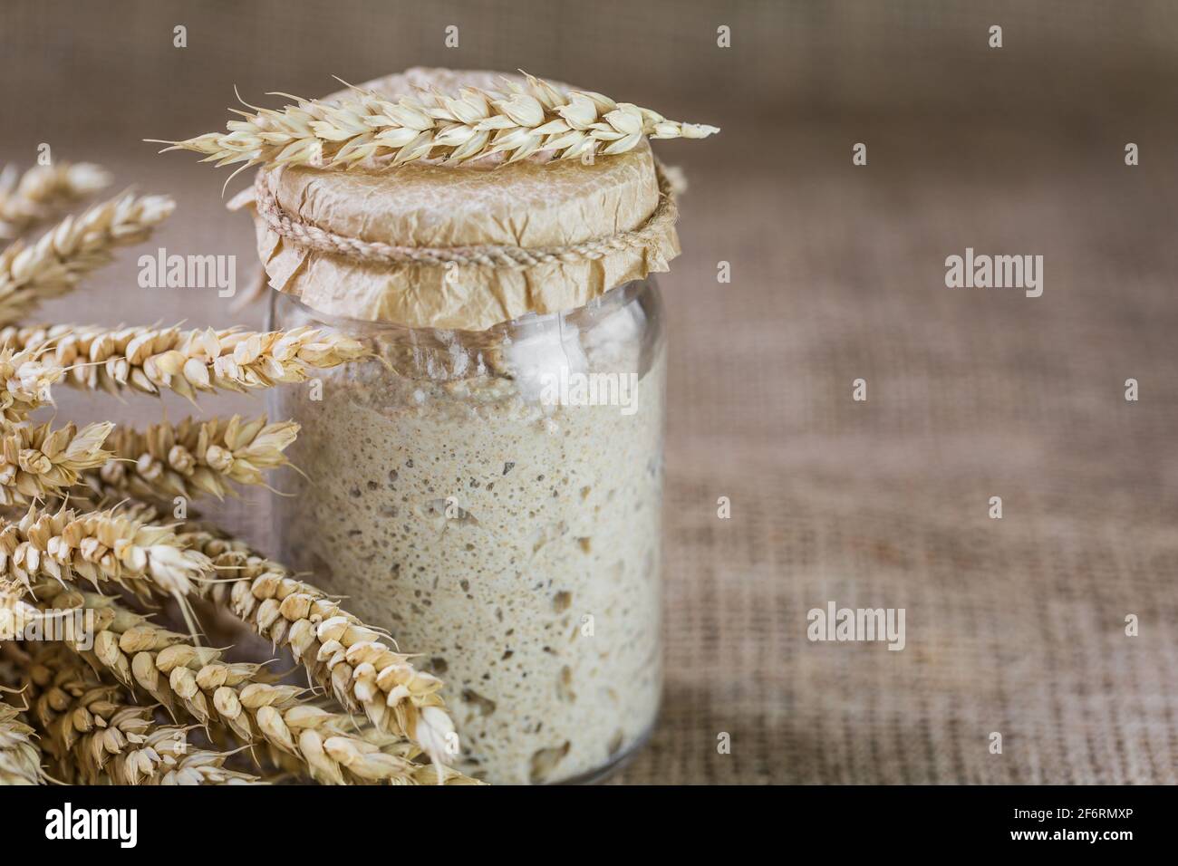 The leaven for bread is active. Starter sourdough. The concept of a ...