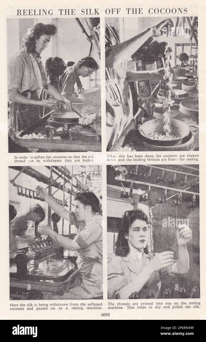 Vintage black and white photos of silk making Stock Photo - Alamy