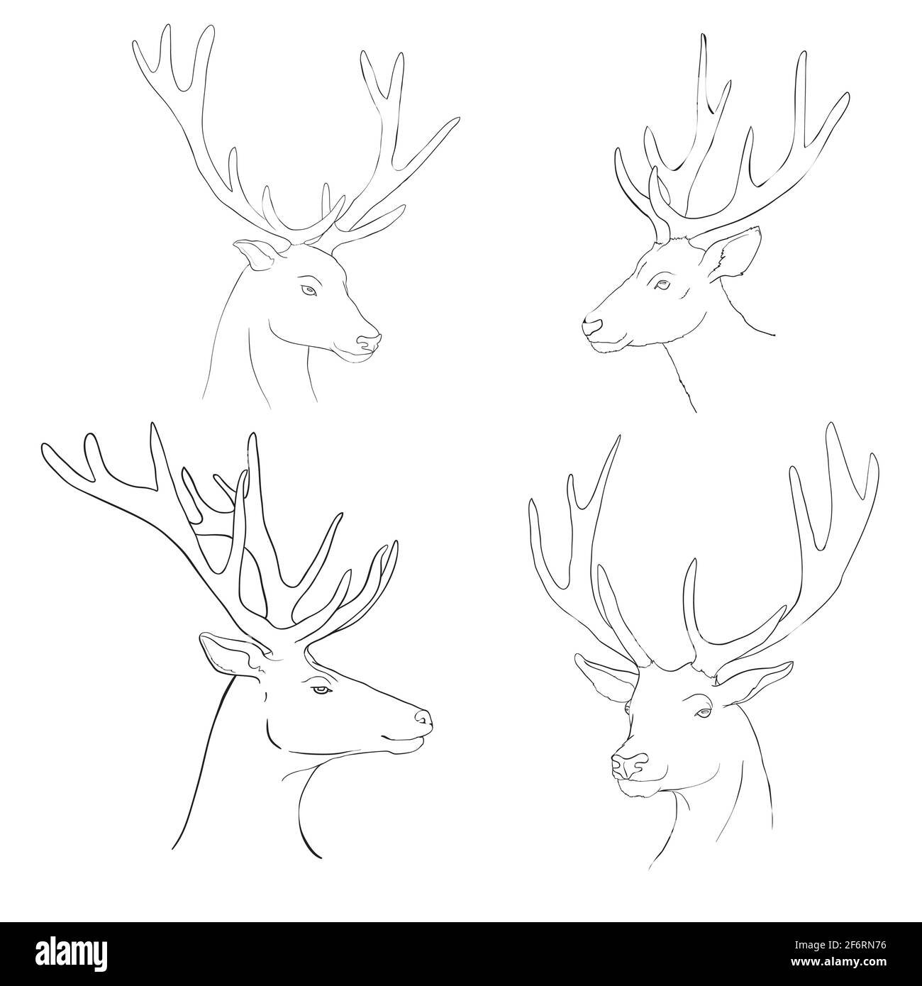 vector - Deer - hand draw , isolated on background Stock Vector Image ...