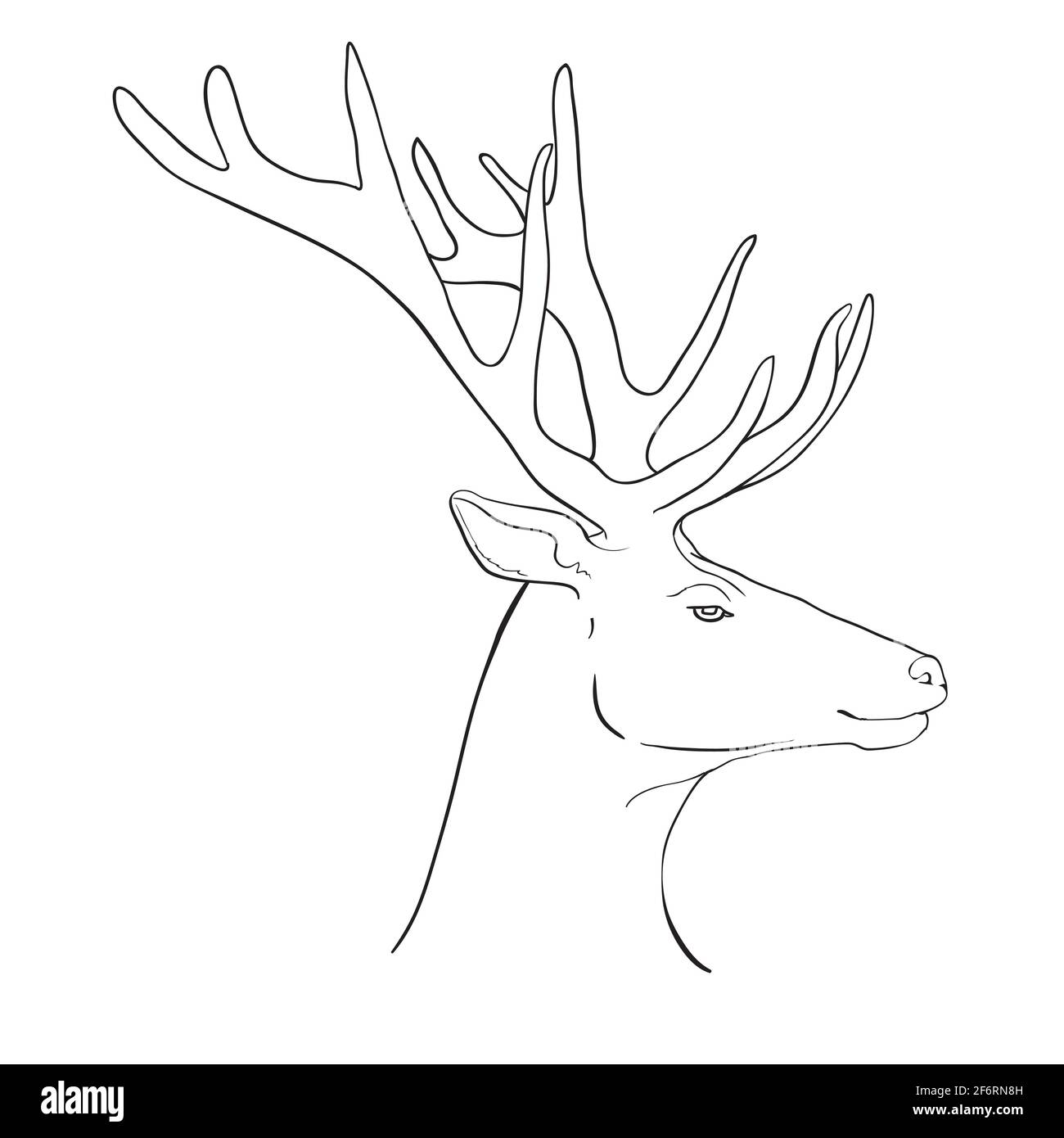 vector - Deer - hand draw , isolated on background Stock Vector Image ...