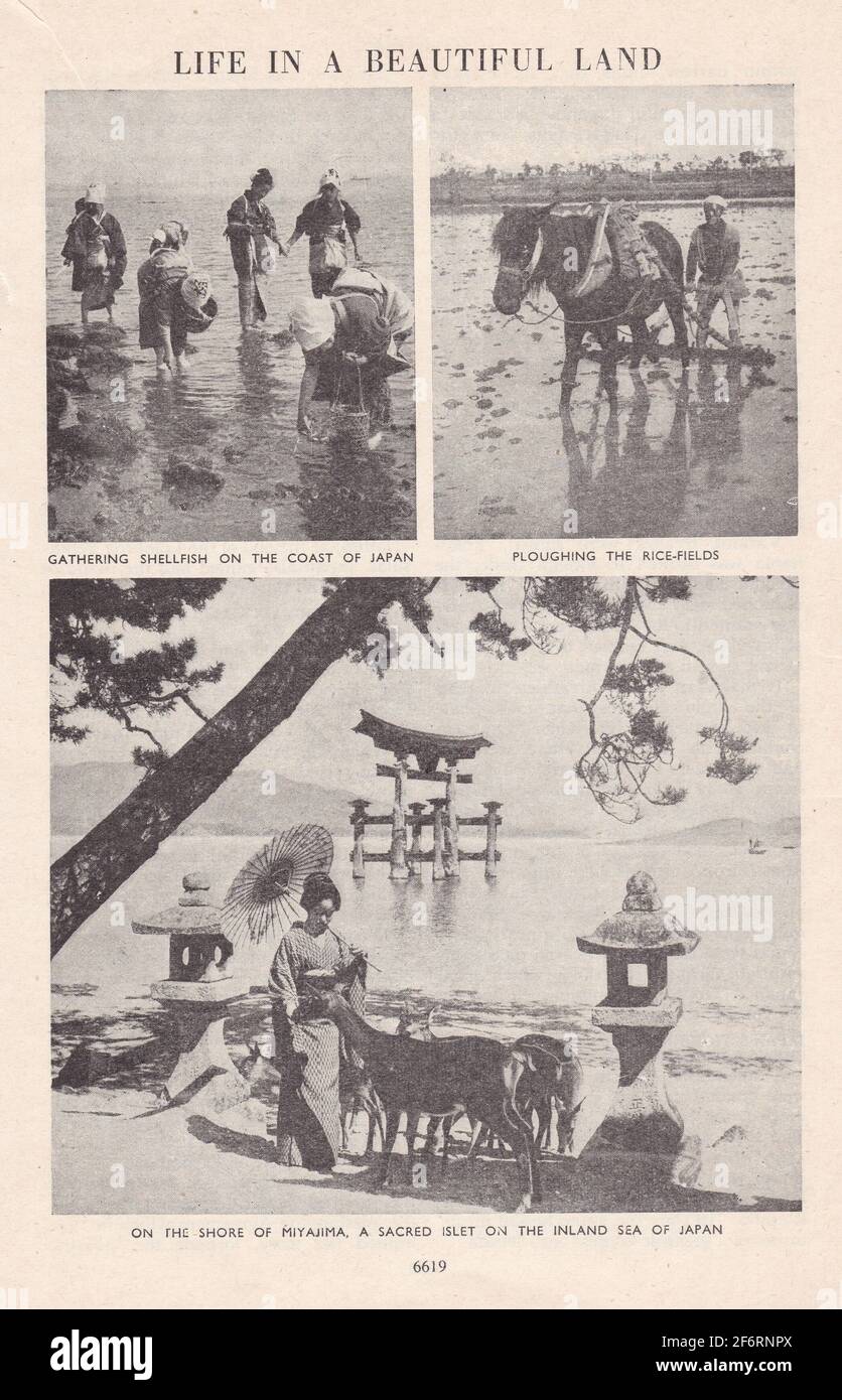 Japan people 1930s hi-res stock photography and images - Alamy