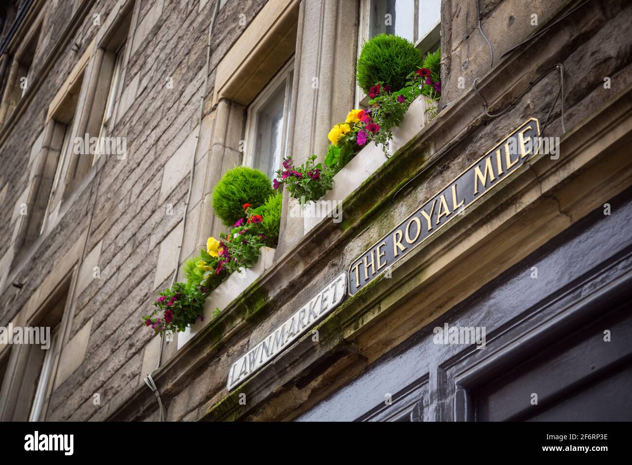 Window boxes on Edinburgh's Royal Mile Stock Photo - Alamy
