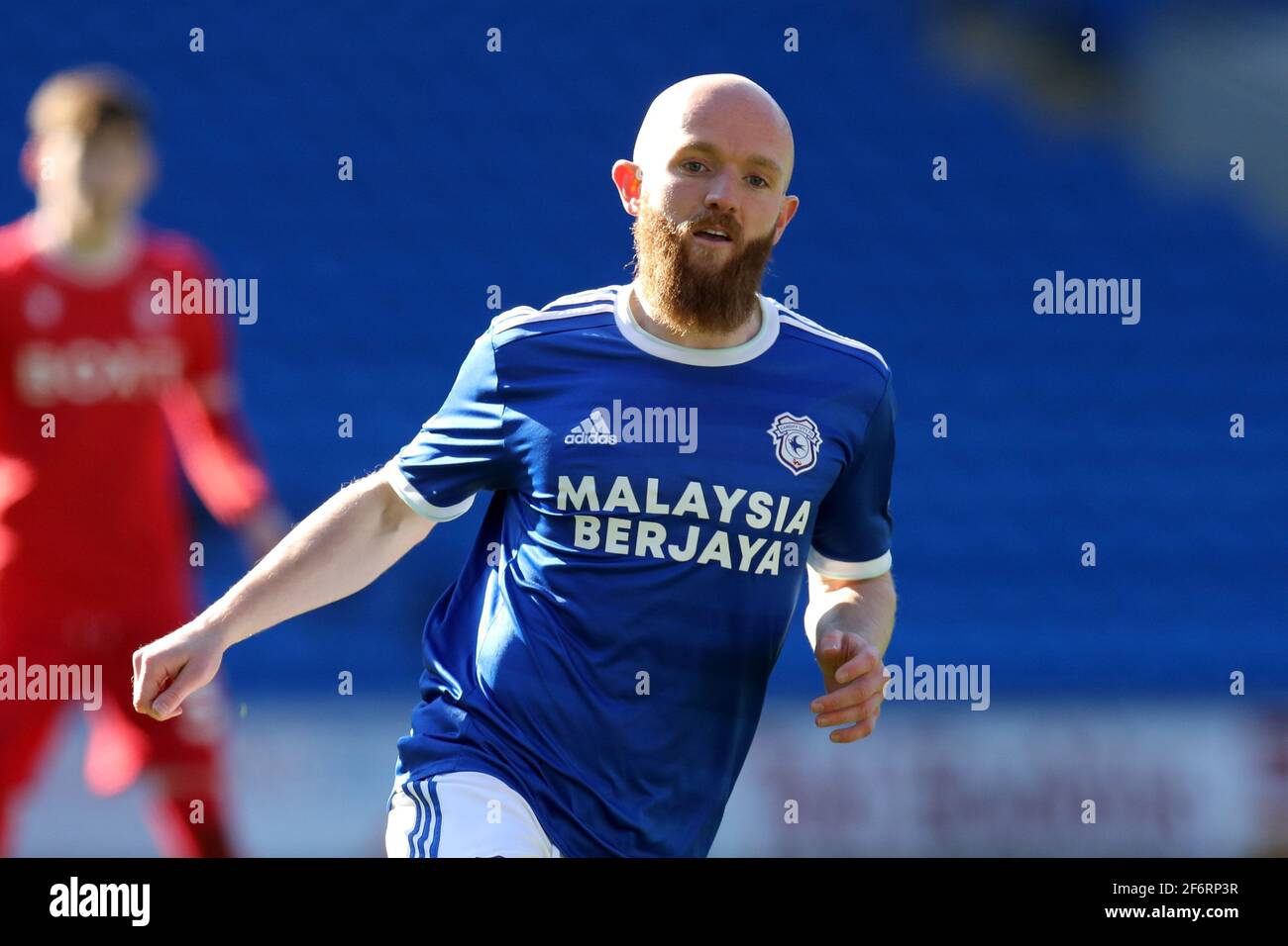 Jonny williams forest hi-res stock photography and images - Alamy