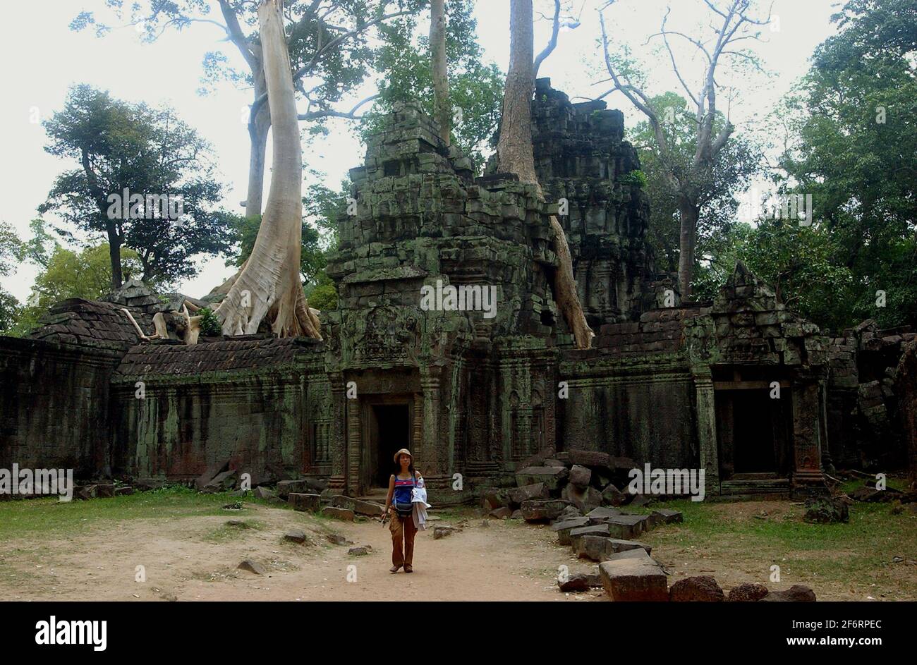 TA PROHM CAMBIODIA 2005 GIANT TREE ROOTS AT THE TEMPLE OF TA PROHM PIC ...