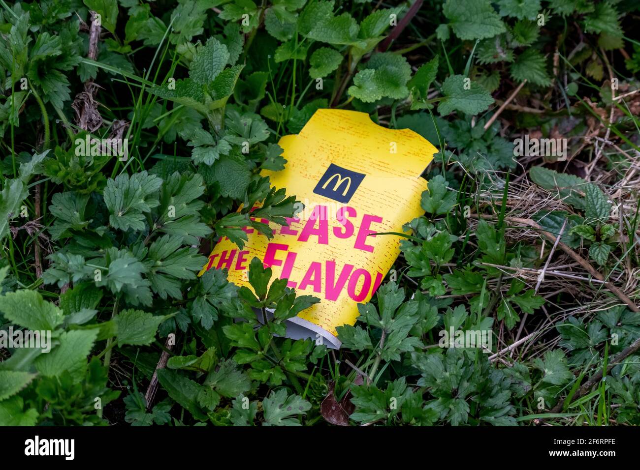 Fast food waste left by humans littering the rural countryside in ...