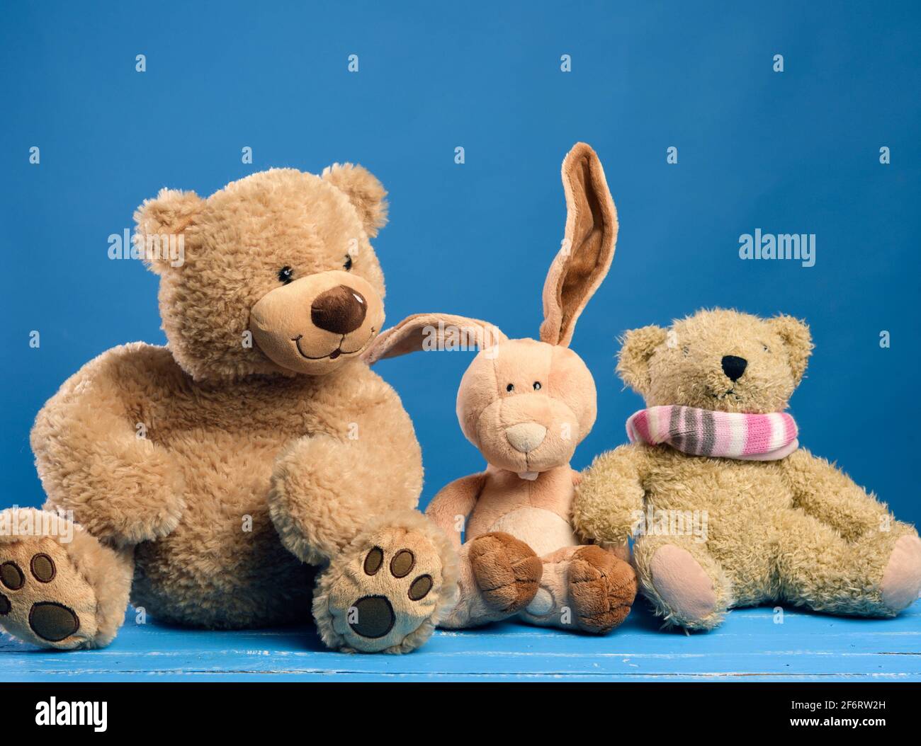 Baby Young Rabbit On Human High Resolution Stock Photography and Images ...