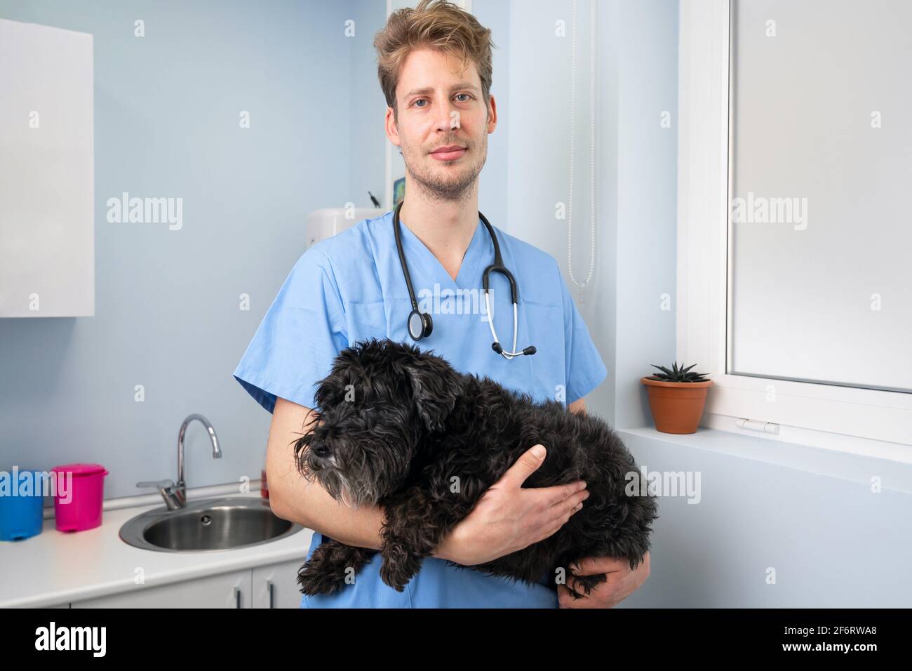 Male vet nurse hi-res stock photography and images - Alamy