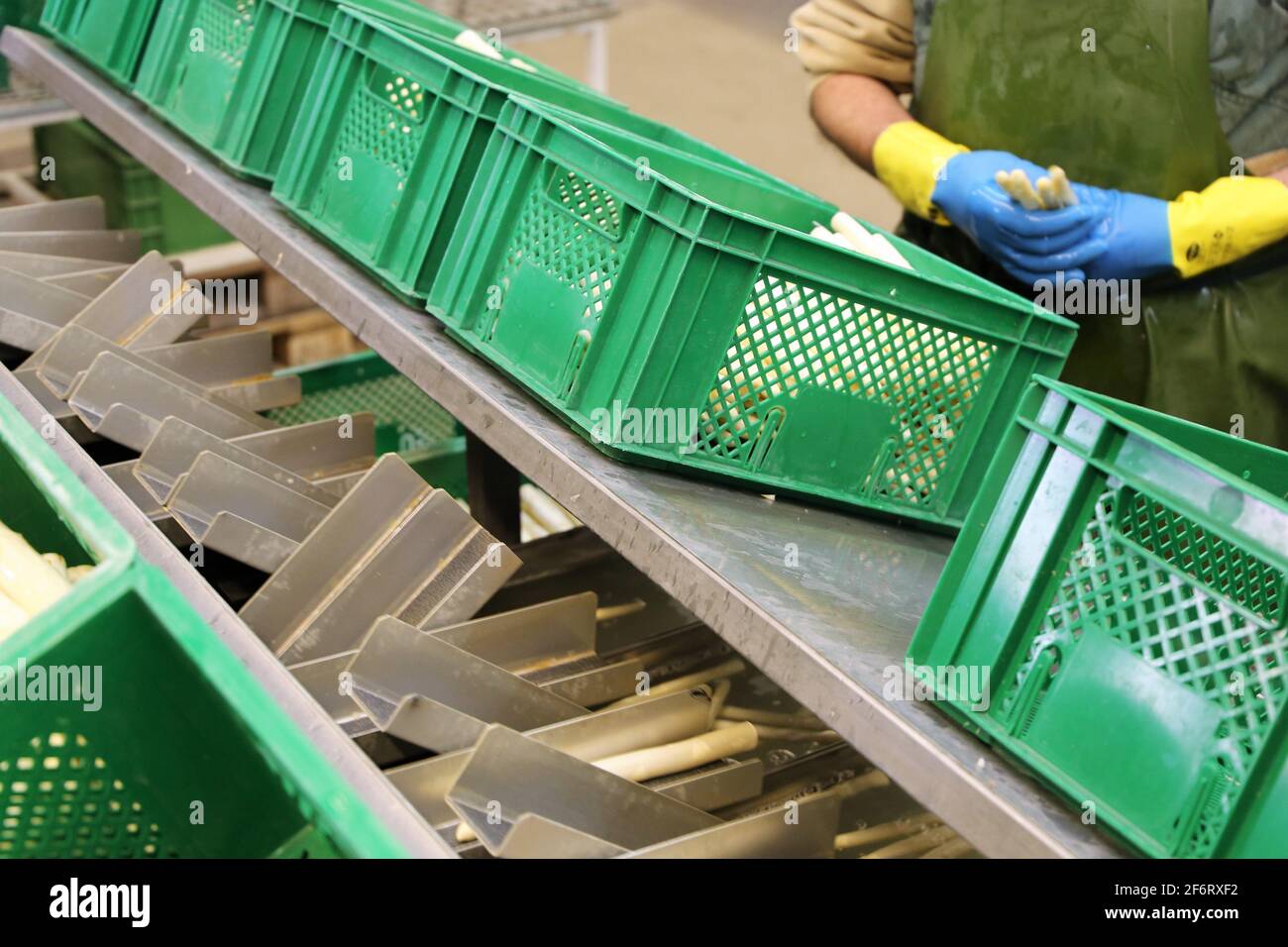 Sorting harvest hi-res stock photography and images - Alamy