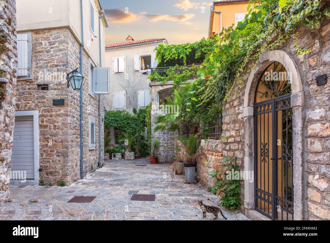 Medieval street structure hi-res stock photography and images - Alamy