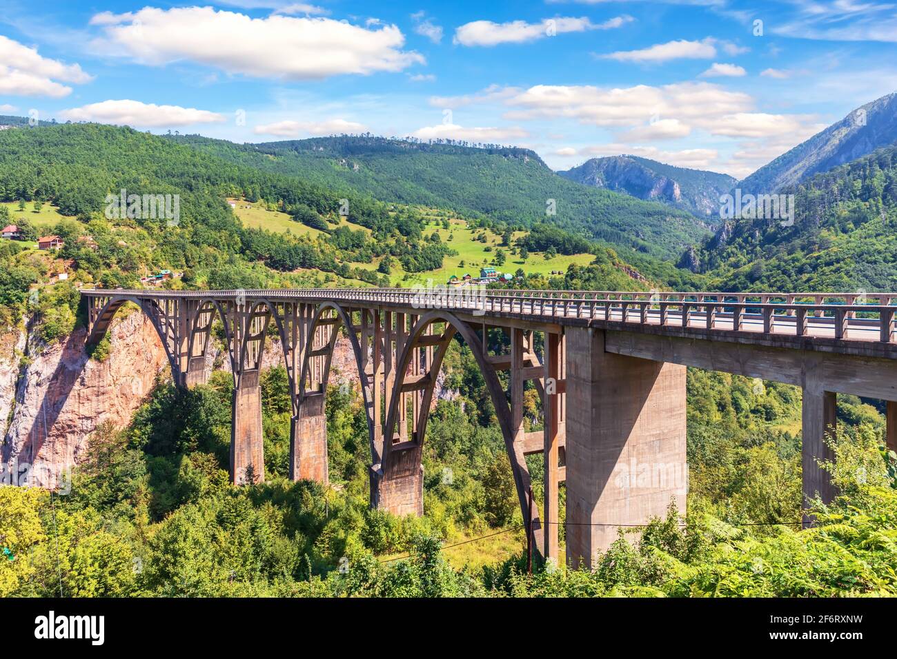 Tara river hi-res stock photography and images - Alamy