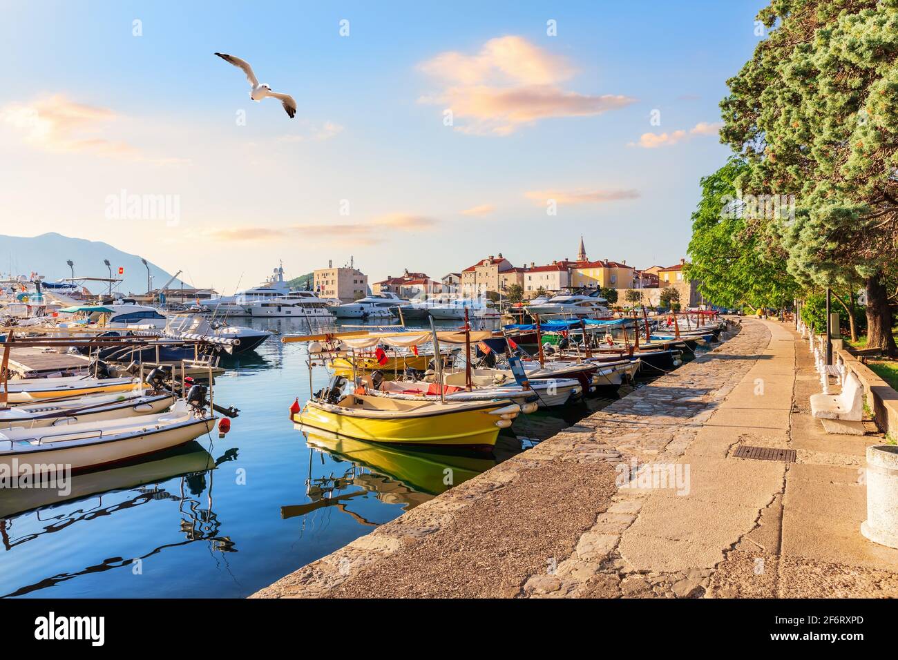 Budva riviera pier and the yachts, Montenegro Stock Photo - Alamy