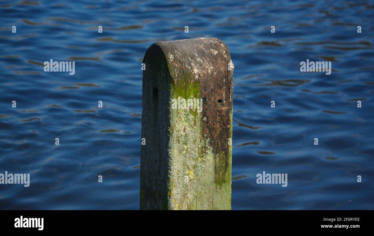 Post in water Stock Photo - Alamy
