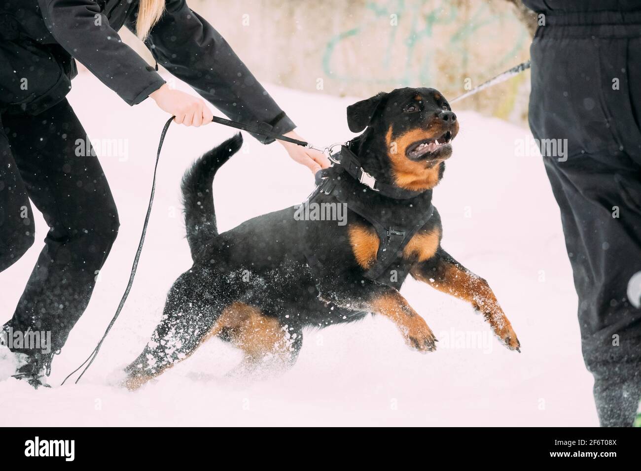 Pure black color hi-res stock photography and images - Alamy