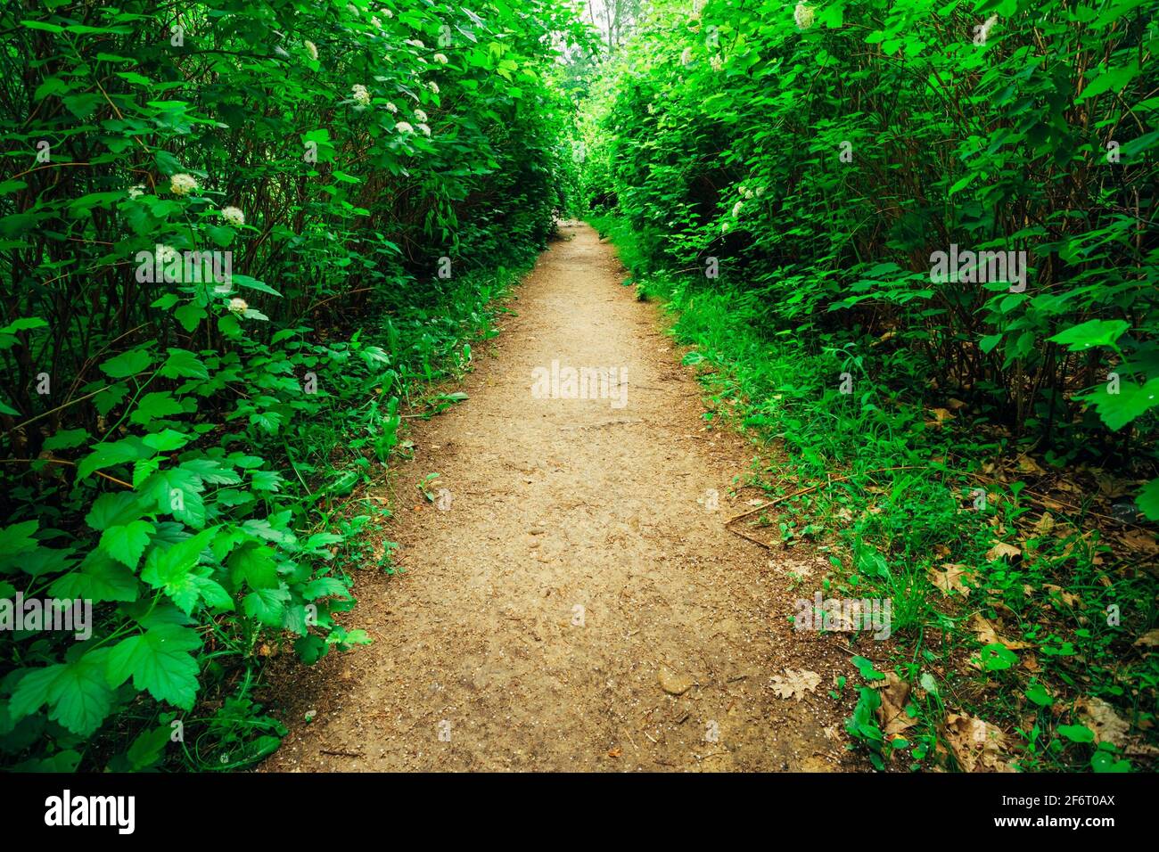 Design Path Pathway High Resolution Stock Photography and Images - Alamy