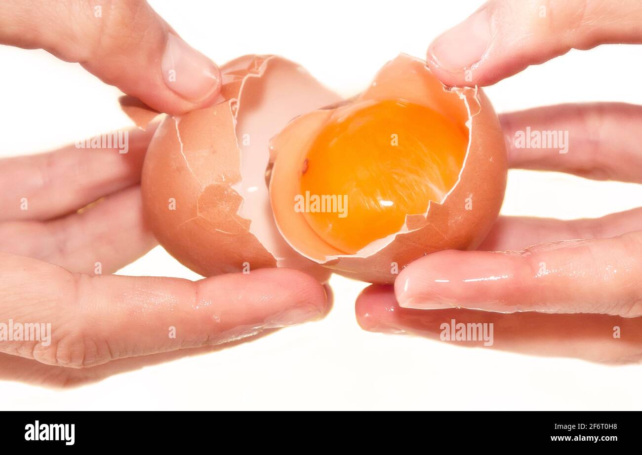 Cake making: Hands opening un egg showing a red yolk inside with a ...