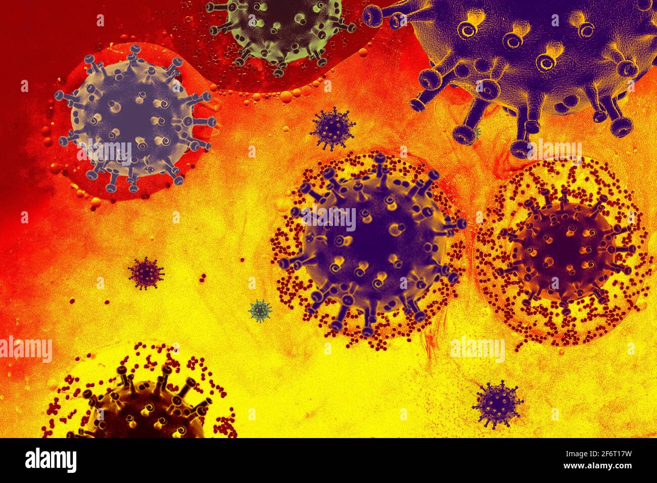 Bacteria germ infection pandemic disease hi-res stock photography and ...