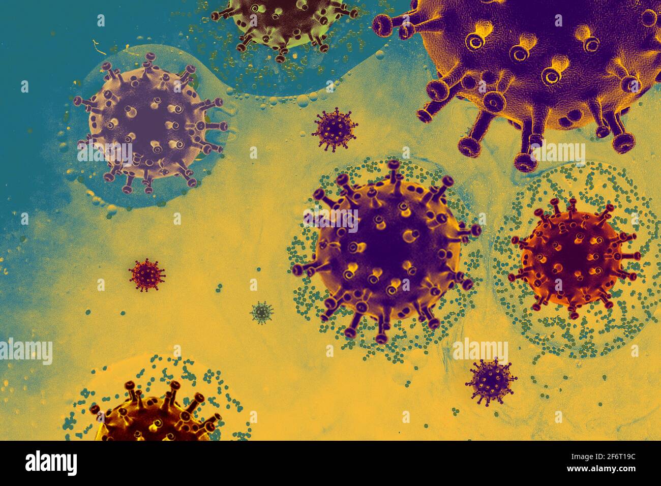 Germs And Bacteria High Resolution Stock Photography and Images - Alamy