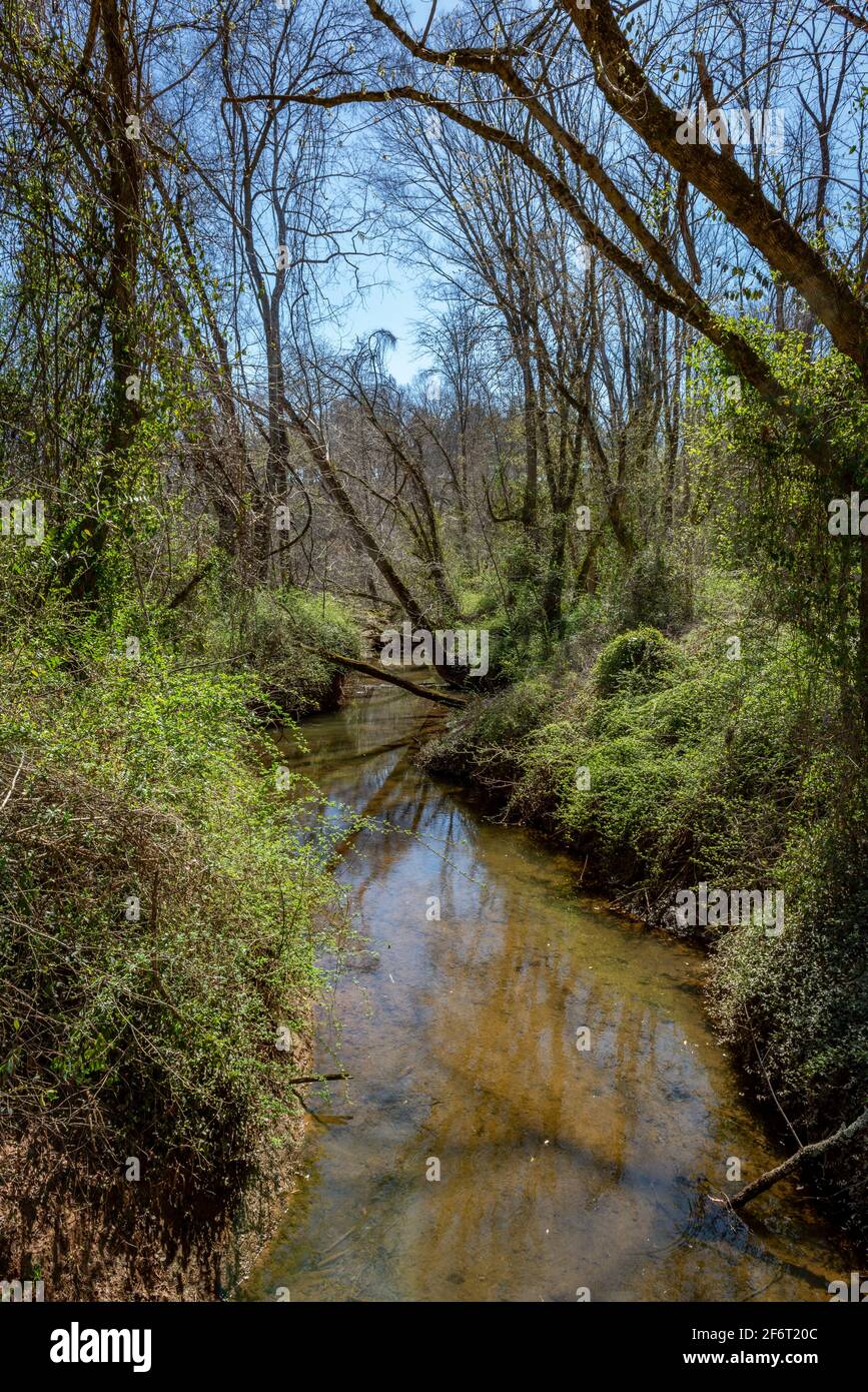 Multiflora rose hi-res stock photography and images - Alamy