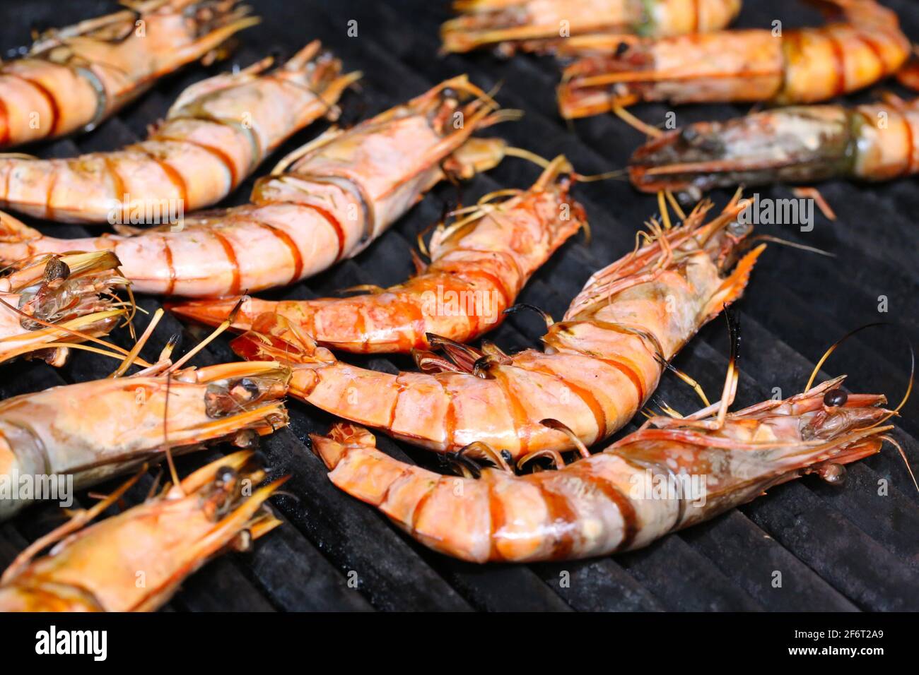 Black tiger prawn hi-res stock photography and images - Alamy