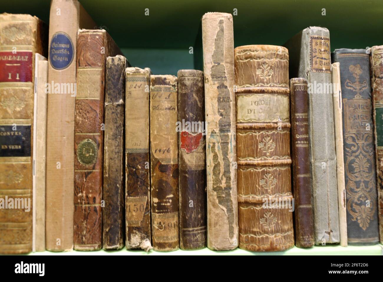 Antique study hi-res stock photography and images - Alamy
