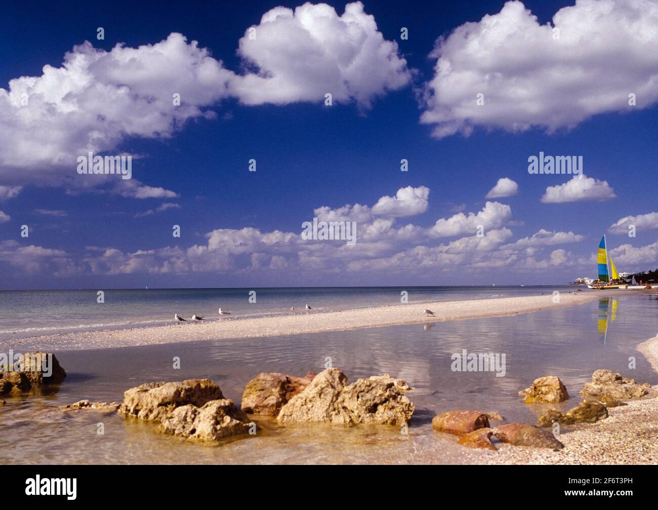 Gulf states hi-res stock photography and images - Alamy