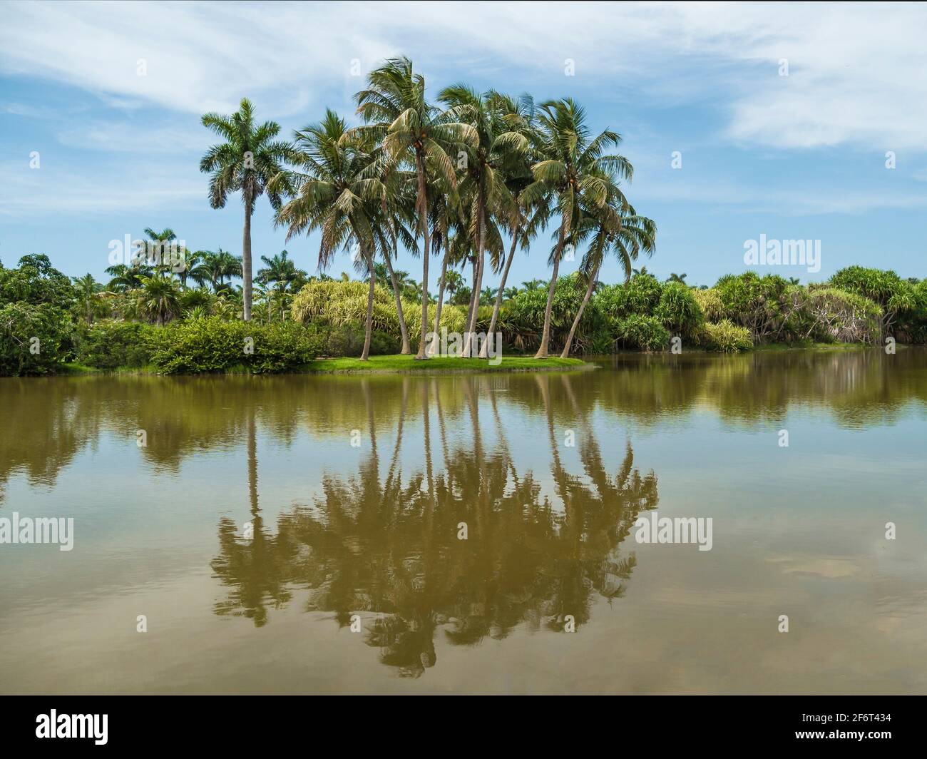 Miami tropical hi-res stock photography and images - Alamy