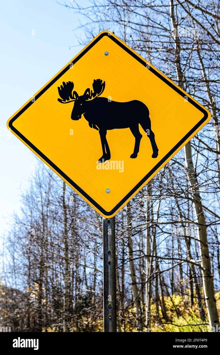 Usa traffic sign hi-res stock photography and images - Alamy
