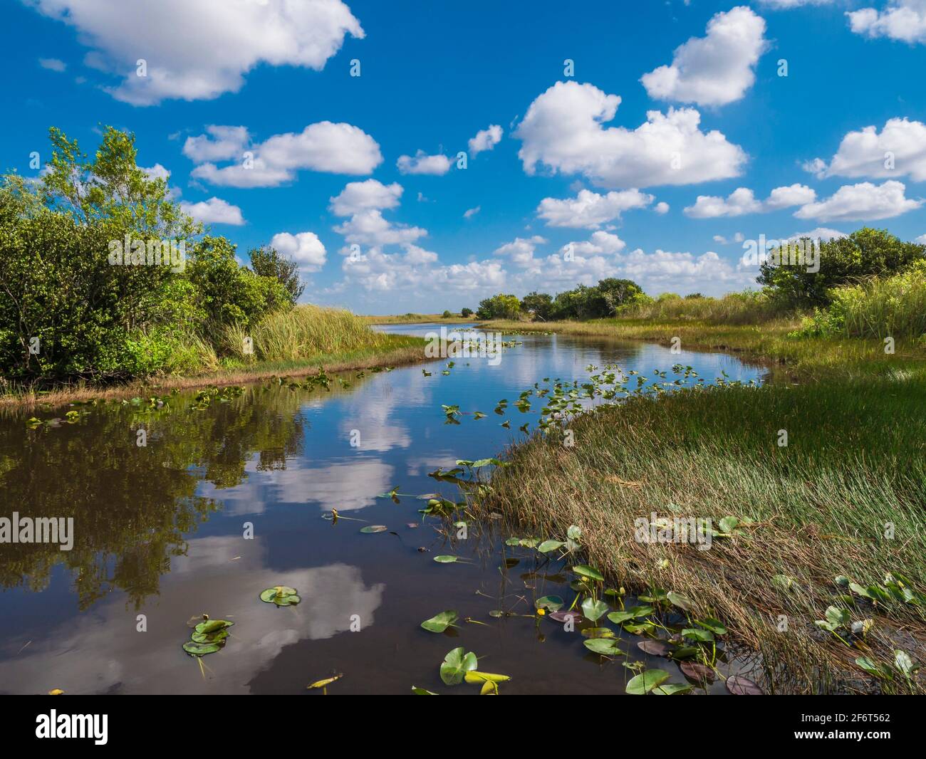 Everglades Florida High Resolution Stock Photography and Images - Alamy