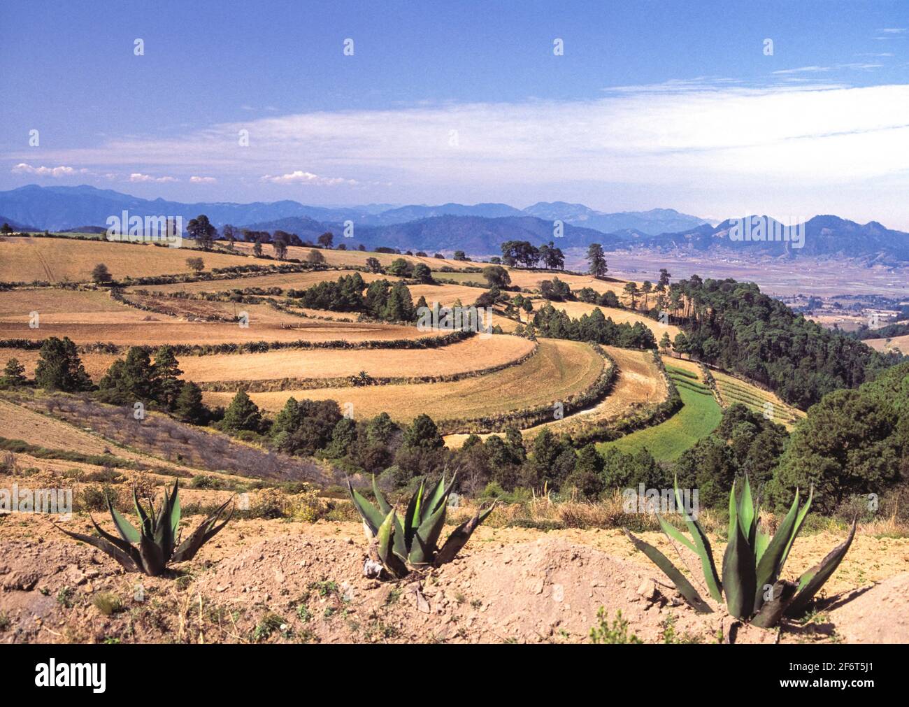 Oyameles hi-res stock photography and images - Alamy