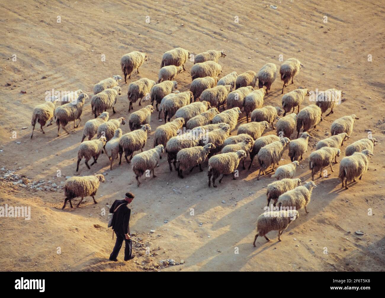 Spanish shepherd hi-res stock photography and images - Alamy