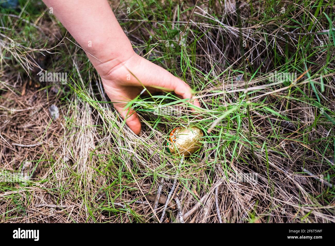 Girls picking up eggs hi-res stock photography and images - Alamy