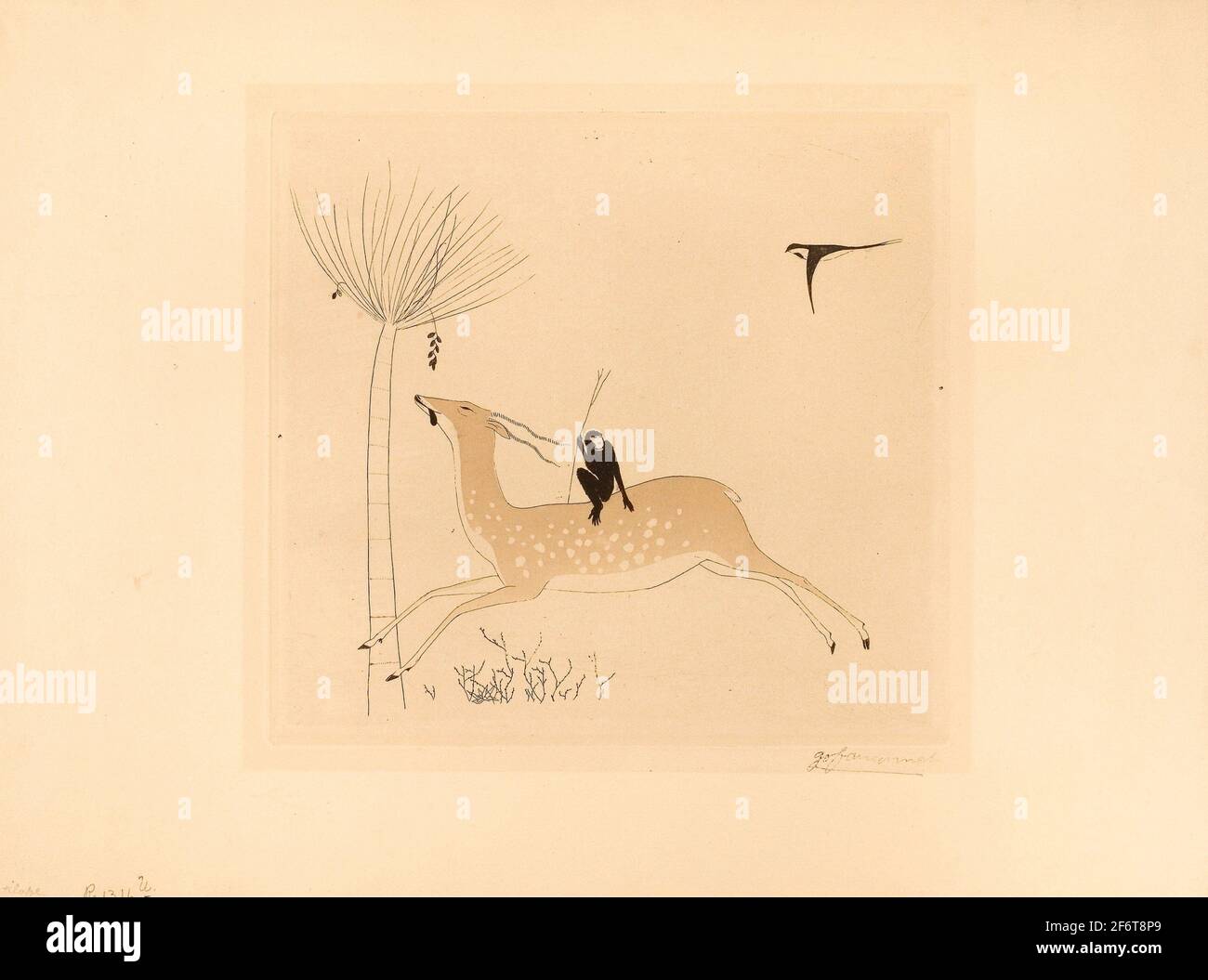 Flying antelope hi-res stock photography and images - Alamy