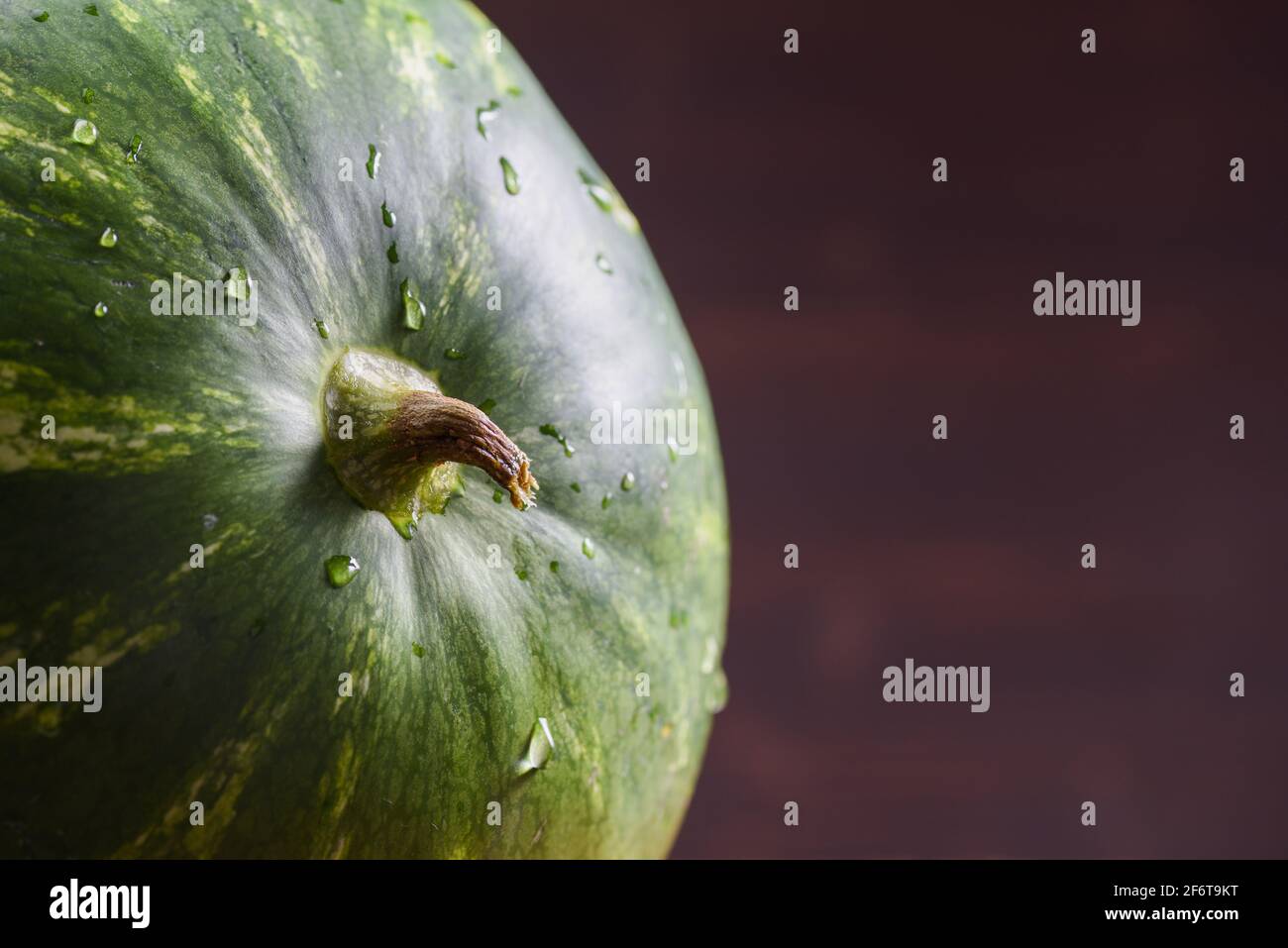 Fresh striped organic watermelon with water drops copyspace close up ...