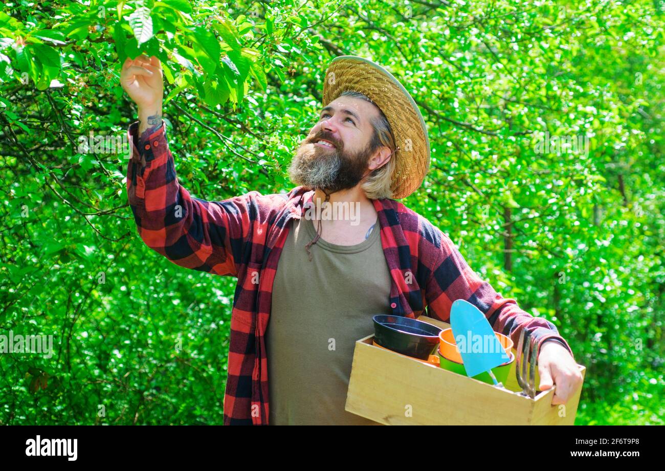 Agriculture farm tools hi-res stock photography and images - Alamy