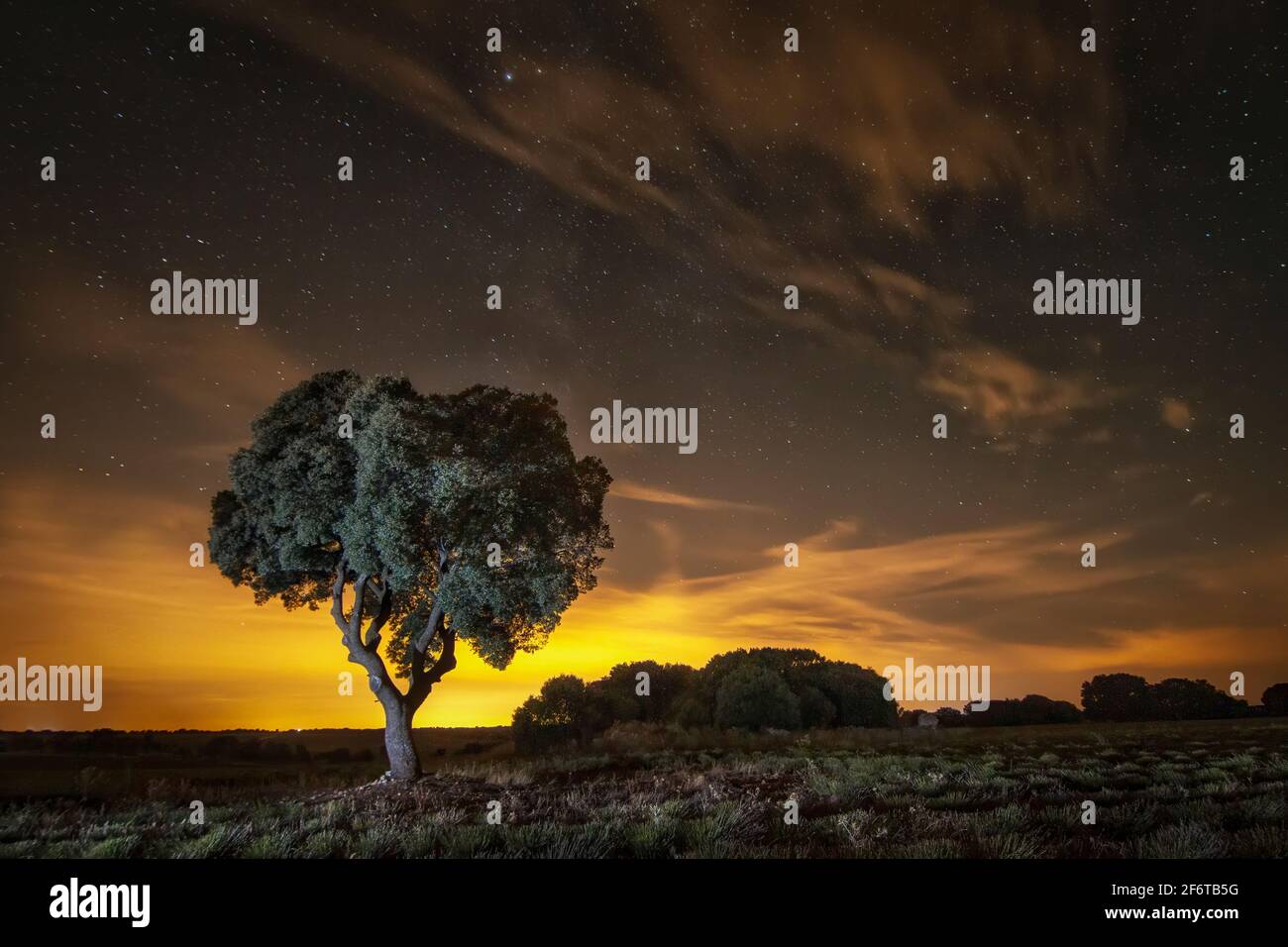 Light pollution hi-res stock photography and images - Alamy