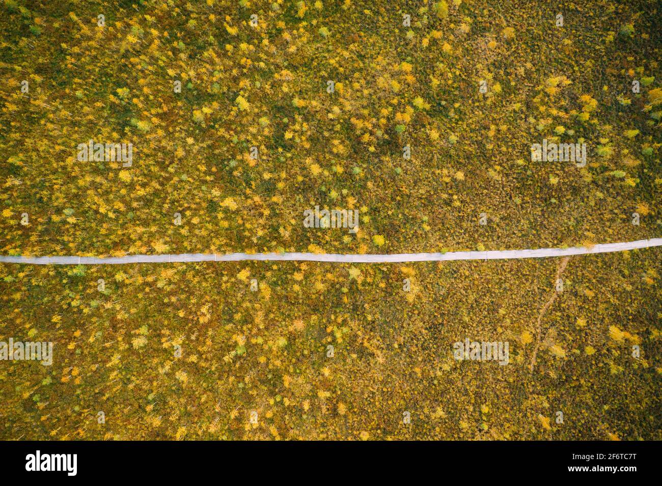 Miory District, Vitebsk Region, Belarus. The Yelnya Swamp. Aerial View ...