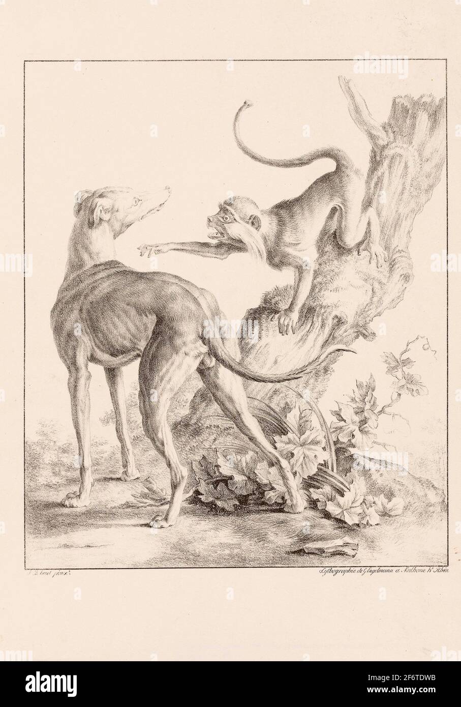 1788 1814 hi-res stock photography and images - Alamy