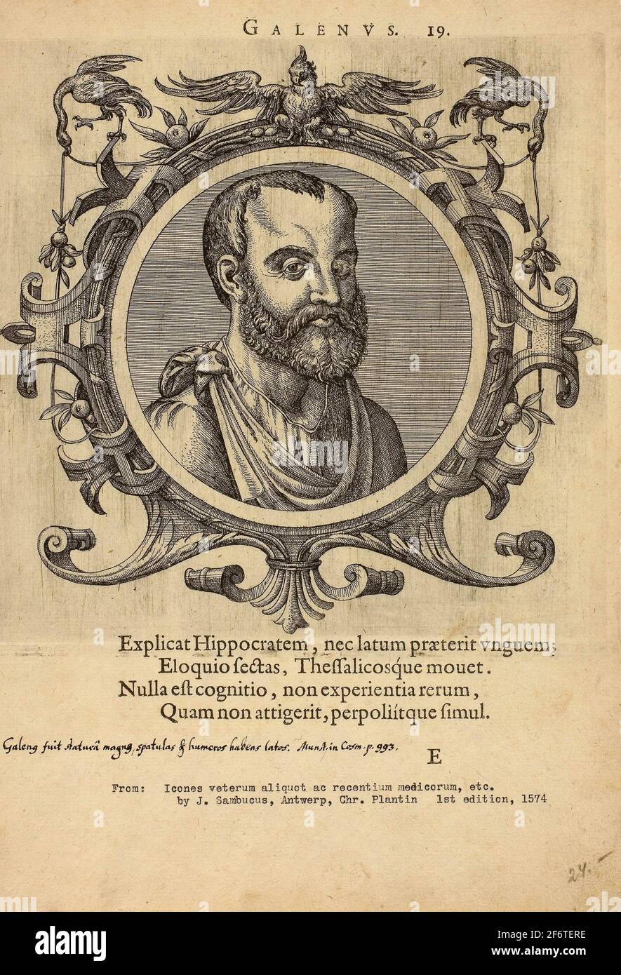 Galenus hi-res stock photography and images - Alamy