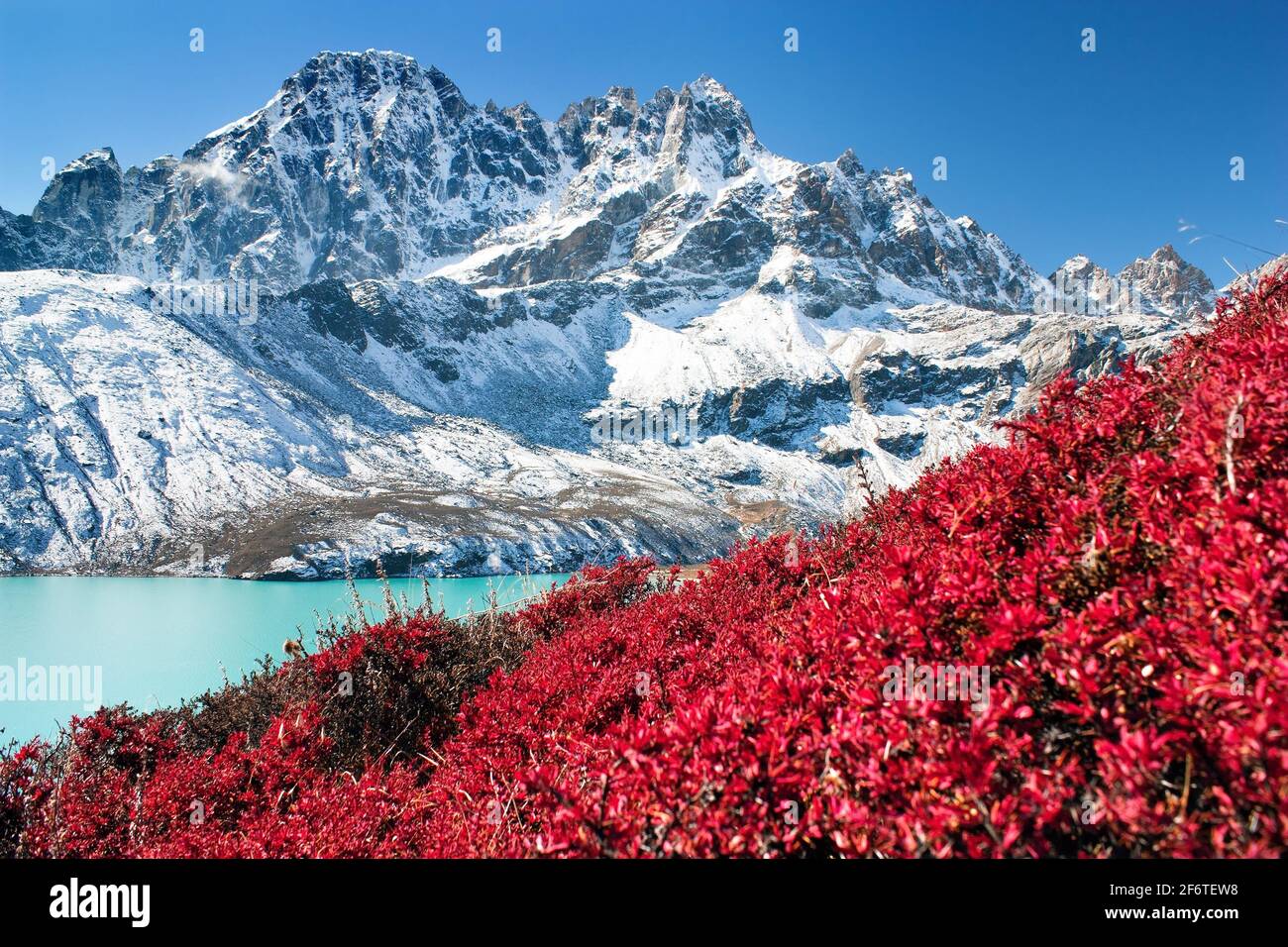 Dudh pokhari Gokyo lake and Phari Lapche peak with red shrub, Khumbu ...