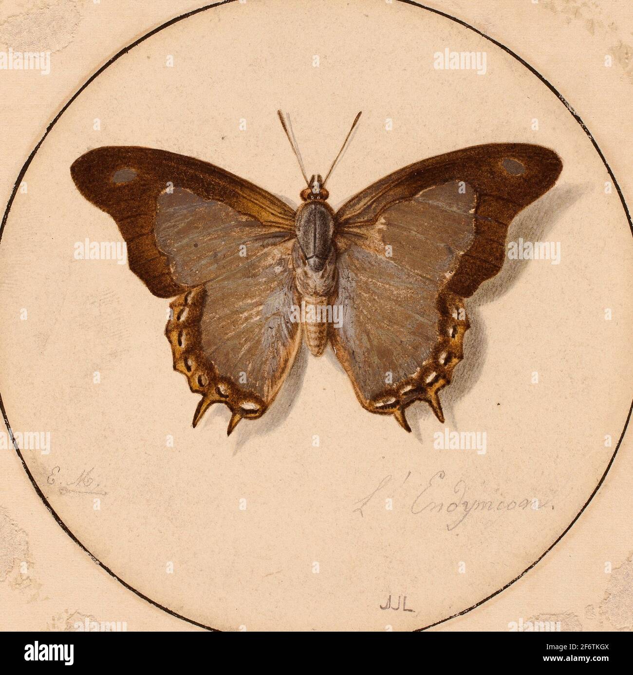 Ernest Meissonier High Resolution Stock Photography and Images - Alamy