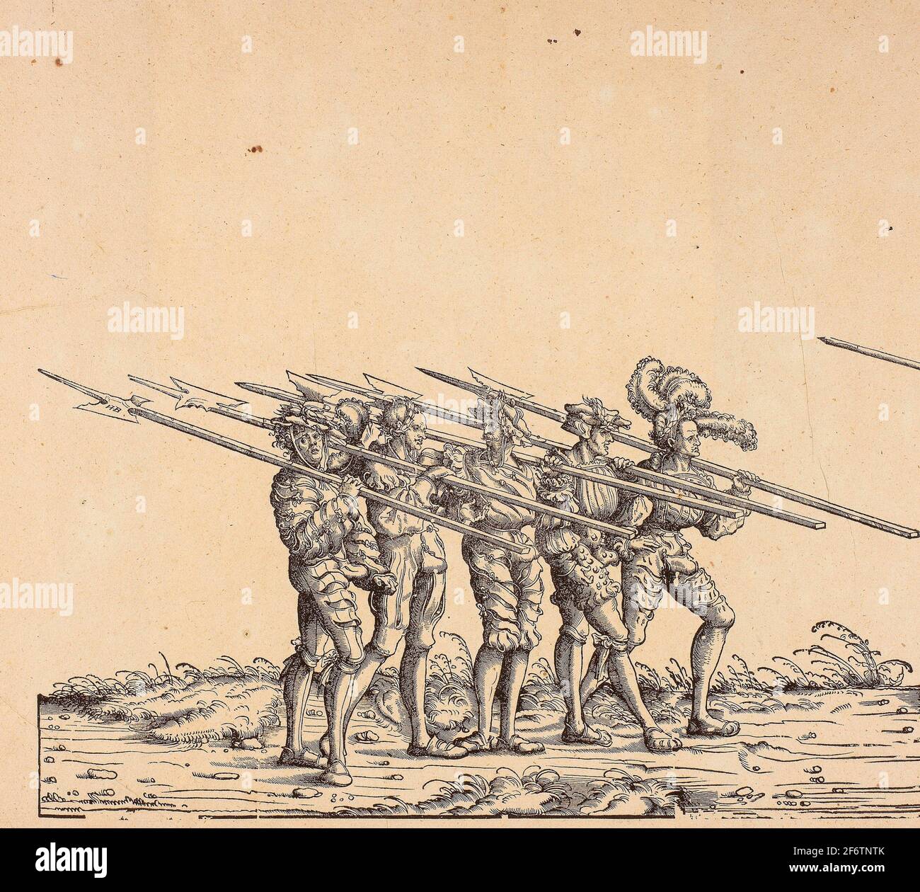 Halberdiers hi-res stock photography and images - Alamy
