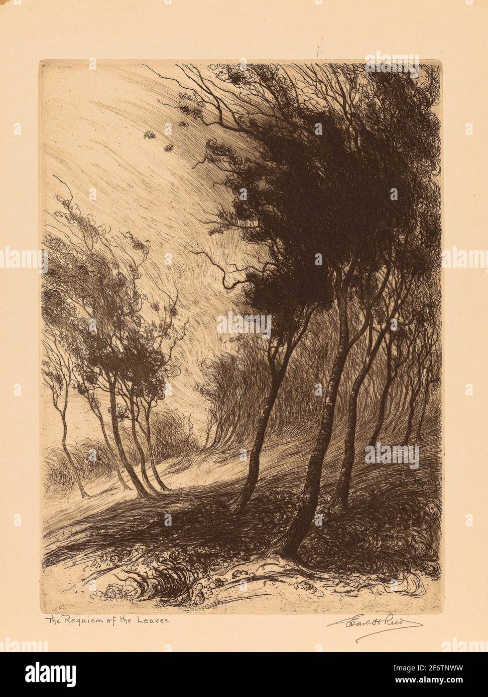 Etching leaves hi-res stock photography and images - Alamy