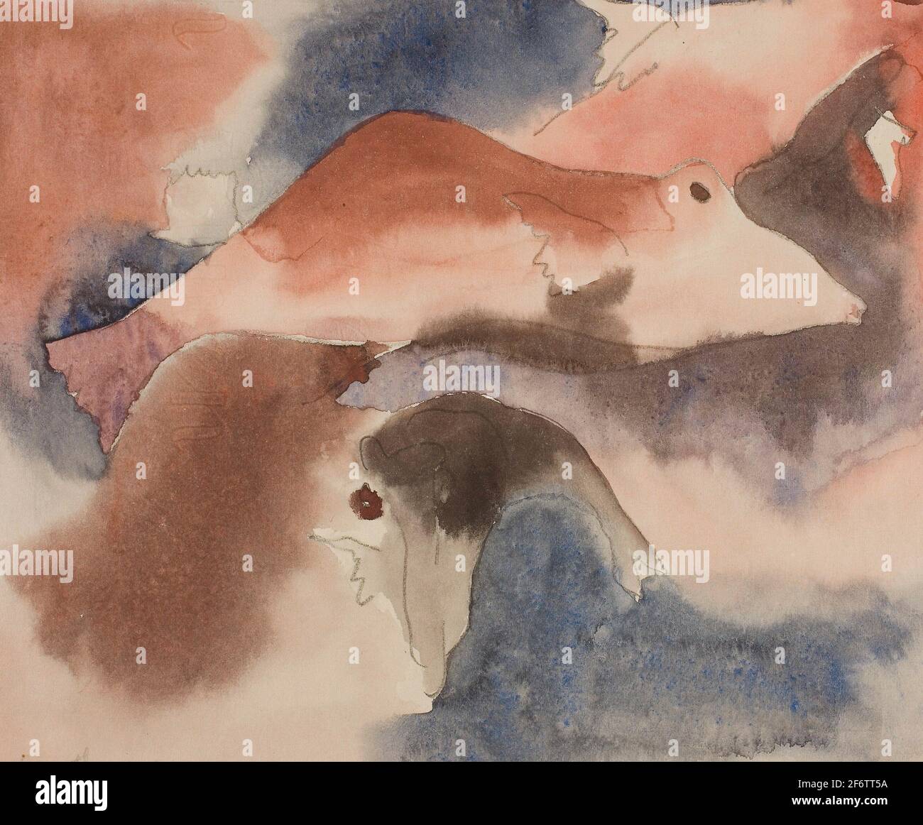 Charles fish hi-res stock photography and images - Alamy