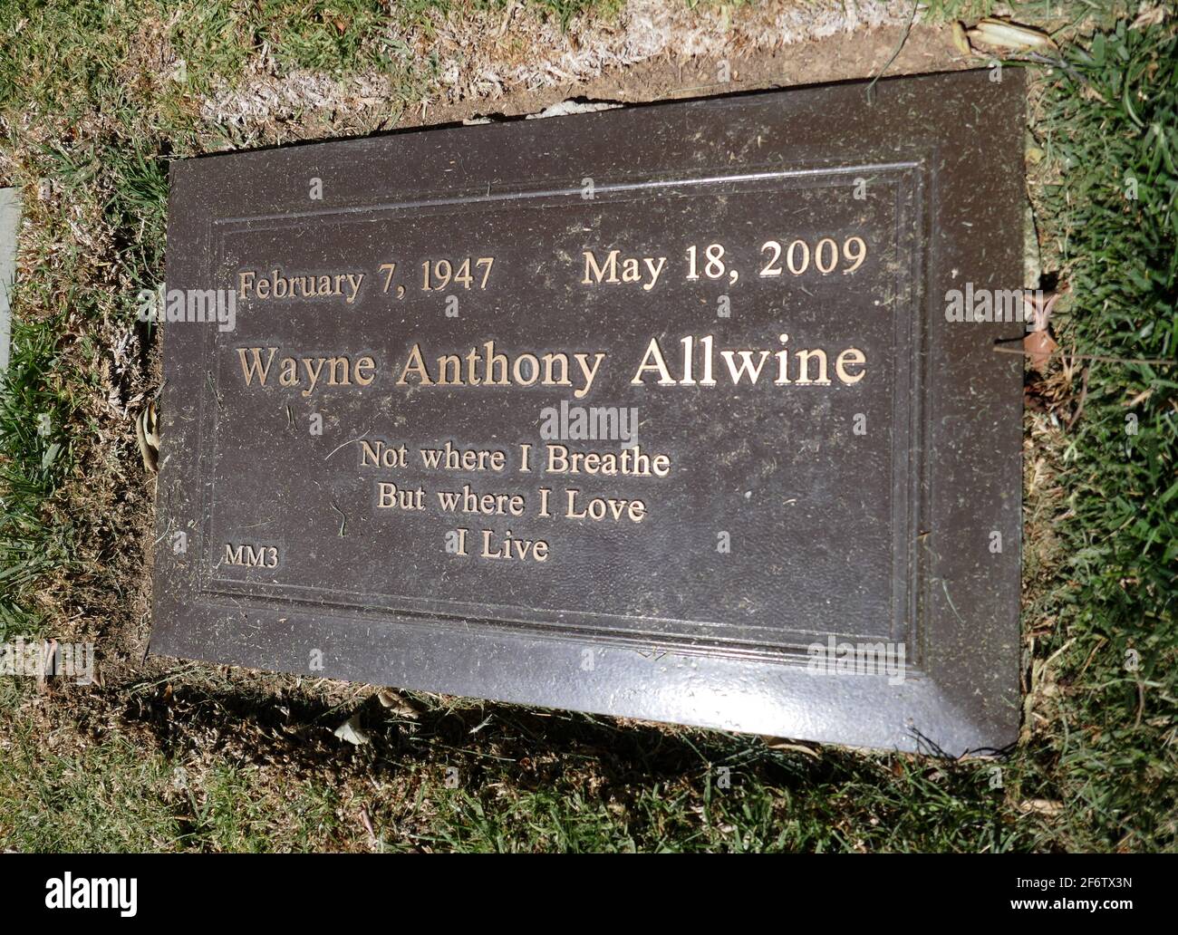 Wayne Allwine Grave
