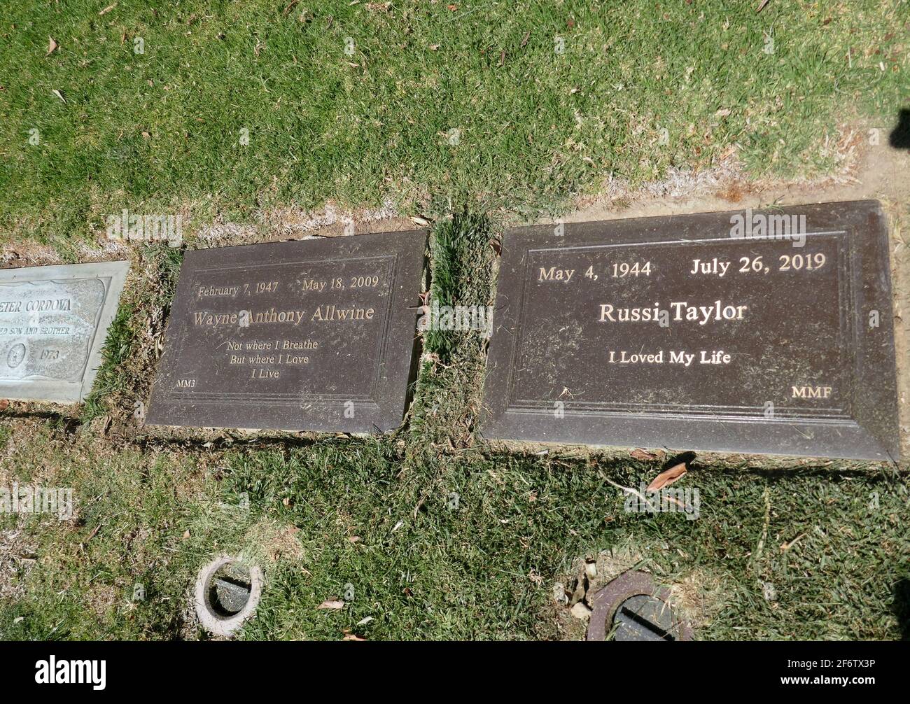 Russi Taylor High Resolution Stock Photography and Images - Alamy