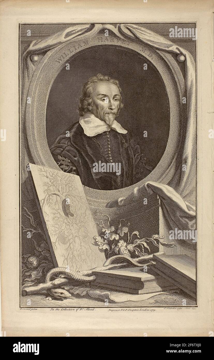 Engraving with etching on ivory wove paper hi-res stock photography and ...