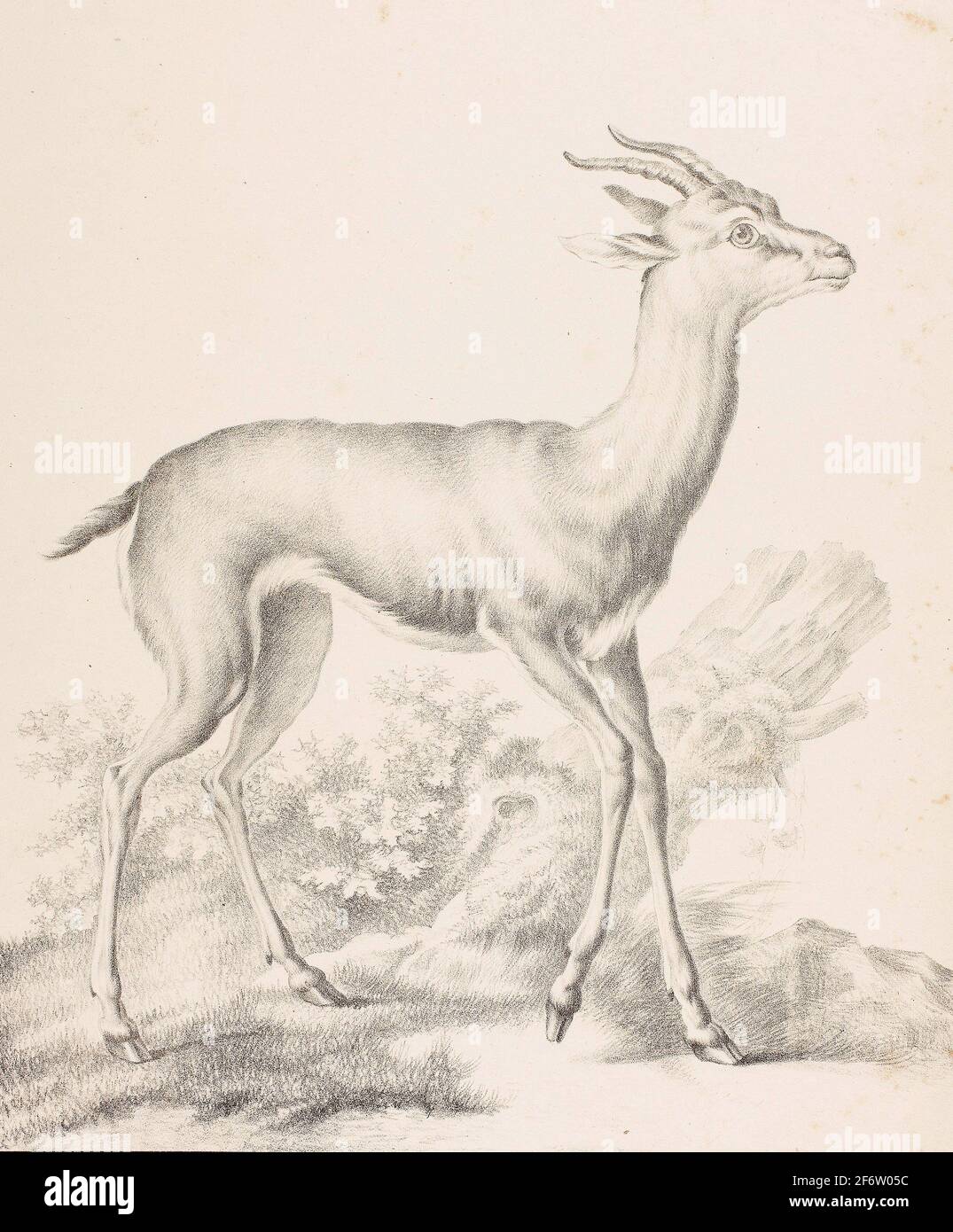 1788 1814 hi-res stock photography and images - Alamy