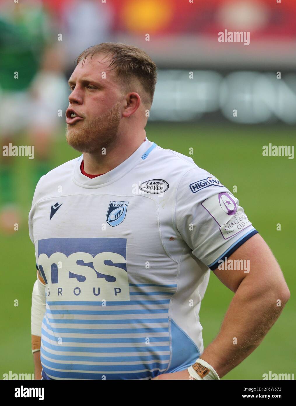 Corey domachowski hi-res stock photography and images - Alamy