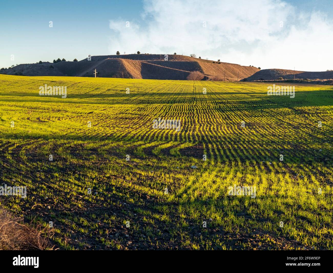 Pinto hills hi-res stock photography and images - Alamy